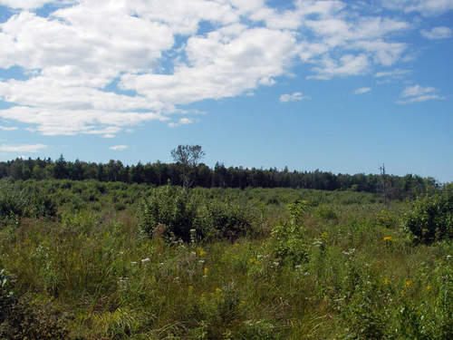 Canadian Land For Sale in Ontario, Nova Scotia, and New Brunswick