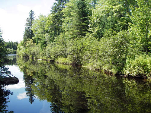 Canadian Land For Sale in Ontario, Nova Scotia, and New Brunswick