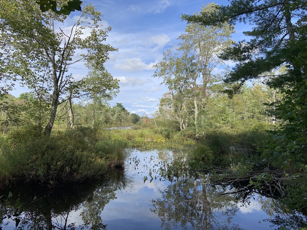 Canadian Land For Sale in Ontario, Nova Scotia, and New Brunswick