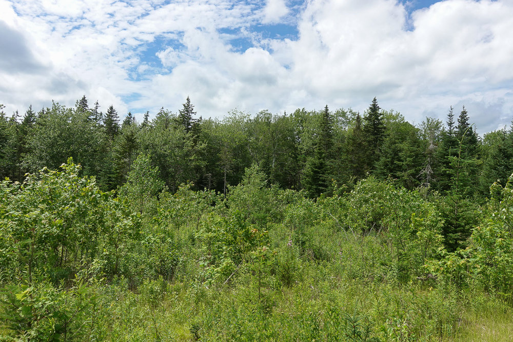 Canadian Land For Sale in Ontario, Nova Scotia, and New Brunswick