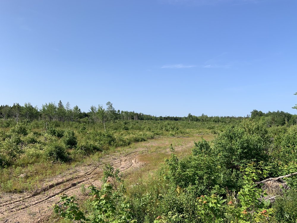 Canadian Land For Sale in Ontario, Nova Scotia, and New Brunswick