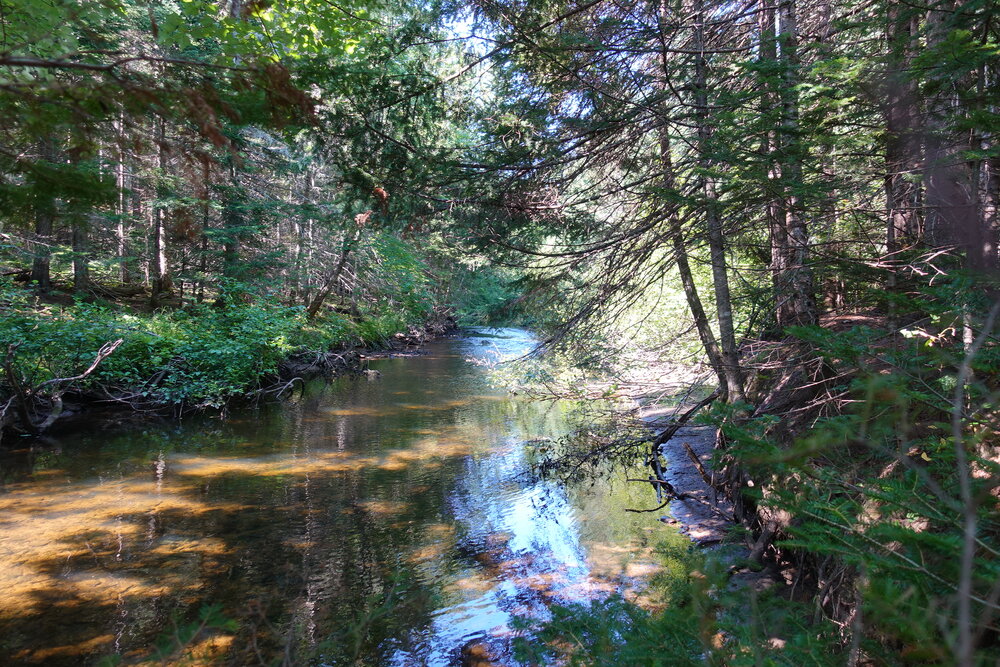 Canadian Land For Sale in Ontario, Nova Scotia, and New Brunswick