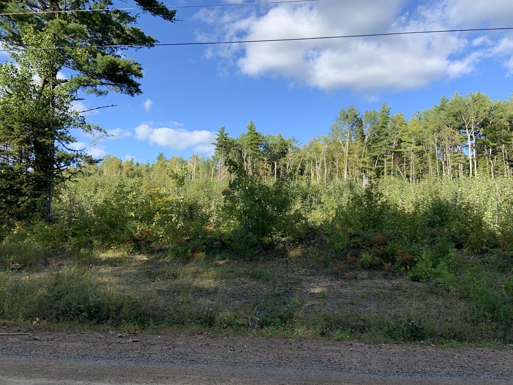 Canadian Land For Sale in Ontario, Nova Scotia, and New Brunswick