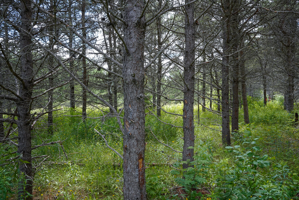 Canadian Land For Sale in Ontario, Nova Scotia, and New Brunswick