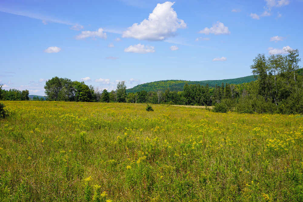 Canadian Land For Sale in Ontario, Nova Scotia, and New Brunswick